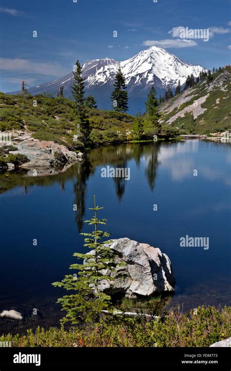 Ca02652 00california Mount Shasta And Shastina From Heart Lake In
