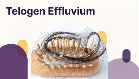 What Is Cause Of Hair Loss From Telogen Effluvium Dr Wunny Hair