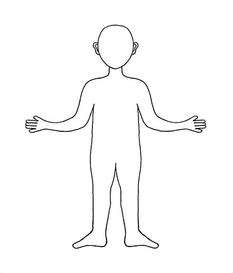 Трафарет Тело Человека Для Детей 68 фото