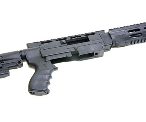 Ruger 10 22 Ar 15 Conversion Kit