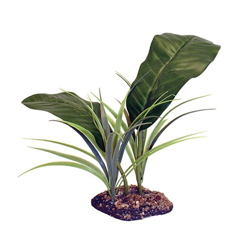 Komodo Evergreen Canopy 35cm 14 Bermondsey Exotics