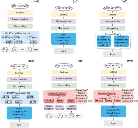 Figure 1 From A Training Pipeline Of An Arrhythmia Classifier For