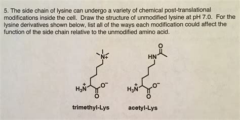 Solved 5 The Side Chain Of Lysine Can Undergo A Variety Of