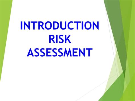 Risk Assessment Ppt