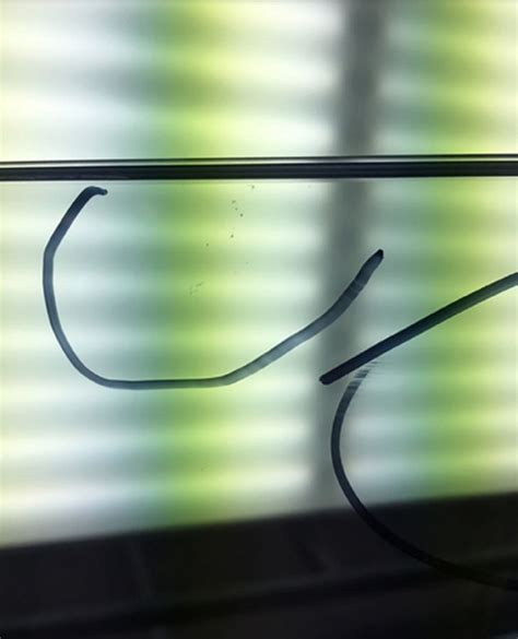 Comprehensive Guide For Glass Distortions Of Curved Glass And Quality
