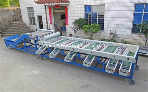 drum type kiwi fruit size grading sorting machine kiwi fruit peeling