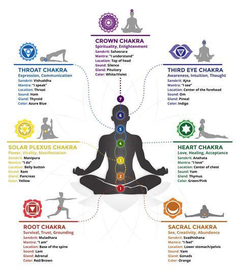 The 7 Chakras Their Colors Symbols Meanings And Glands Explained