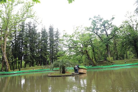 ზუგდი ზუგდიდის ბოტანიკური ბაღი Zugdidi Botanical Garden