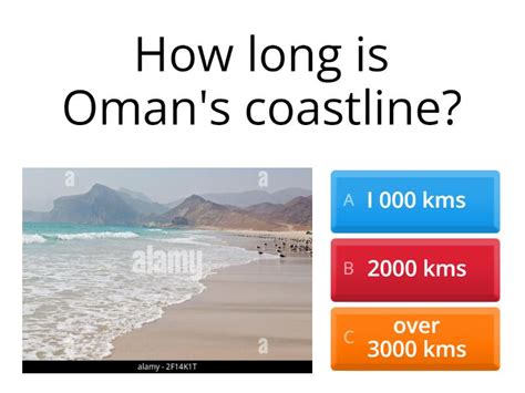 Oman Theme 3 Unit 1 Quiz