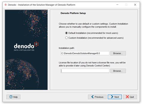 Managing Denodo 80 Licenses Global License Intallation