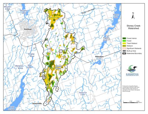 Stoney Creek Protecting Water Quality And Ecosystems