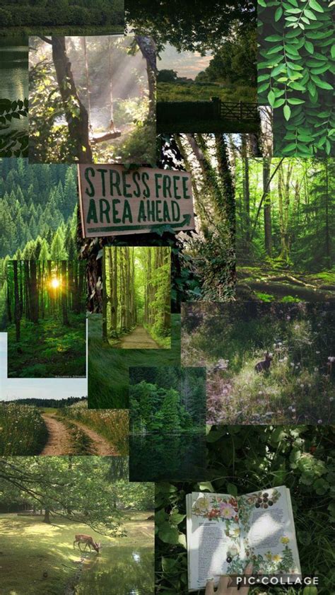 🔥 [30 ] Nature Collage Wallpapers Wallpapersafari
