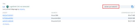 docker中安装并配置redis csdn博客