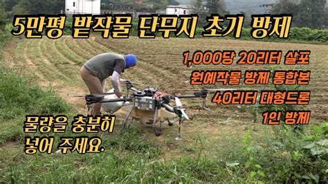 농업용드론 밭작물 단무지 초기방제 통합본 1000평당 희석액 20리터 살포 방제고도 속도는 작업환경에 따라서 결정하신답니다 방제사 방제단 방제고도 밭작물