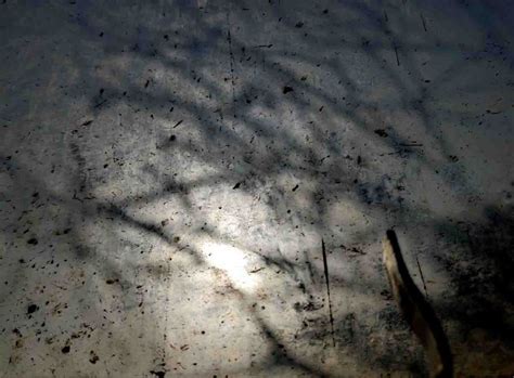 Abhijit Pathak The Abstract Expressionist