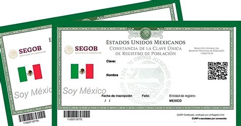 ¿cómo Corregir La Curp Duplicada En 2025