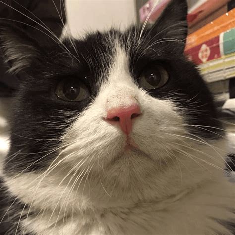 llm optimizer an open source tool for llm inference benchmarking and performance optimization