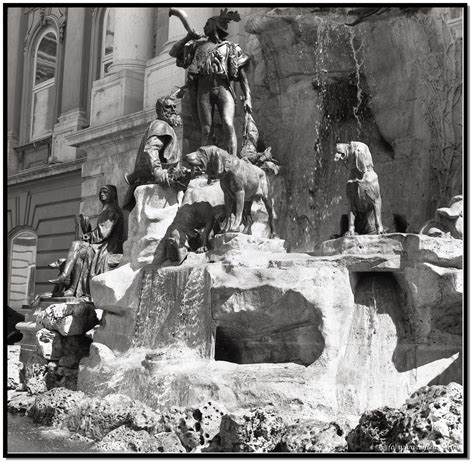 Certo Six 6x6 - Fomapan 100 - Fomadon LQN