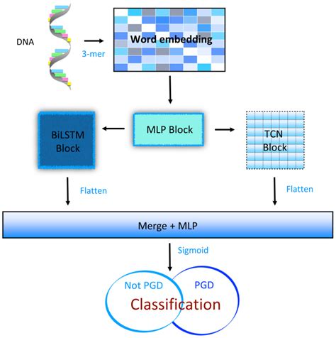 Deeppgd A Deep Learning Model For Dna Methylation Prediction Using Temporal Convolution Bilstm