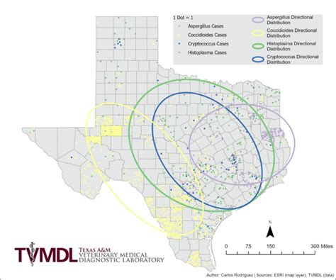 Epidemiology Of Systemic Mycoses In Texas Texas Aandm Veterinary Medical Diagnostic Laboratory