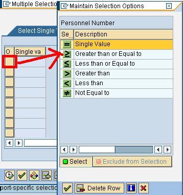 C Programming Tutorial How To Execute SAP Reports