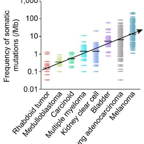 Somatic Mutational Burden In Varying Tumor Types Download Scientific