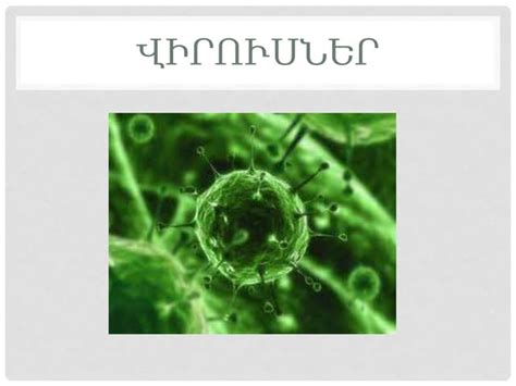 Վիրուսներ Ppt