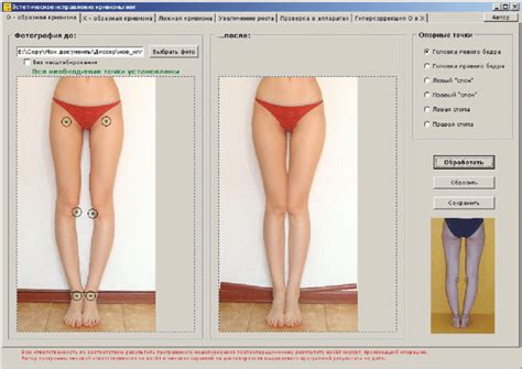 The Program Interface After Setting The Control Points And Processing Download Scientific