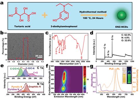 Preparation Methods Morphological And Structural Characterization And Download Scientific