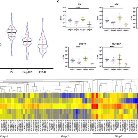 Antigenic Evolution Of Circulating Rabies Viruses A The Download Scientific Diagram