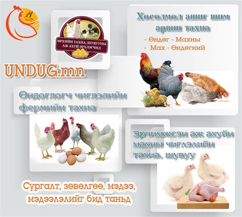 Undug Mn Өндөг мн Home