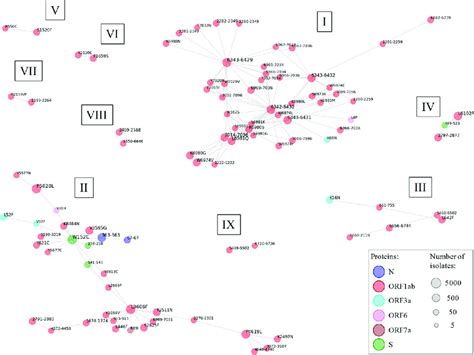 Networks Of Coupled Supermotif Escape Mutations Undirected Unweighted