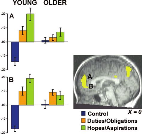 A Region Of Medial Prefrontal Cortex Showing An Age Condition Time Download Scientific Diagram