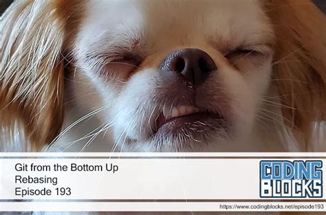 Coding Blocks Podcast And Your Source To Learn How To Become A Better Programmer