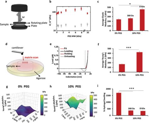 Dynamic And Reversible Tuning Of Hydrogel Viscoelasticity By Transient