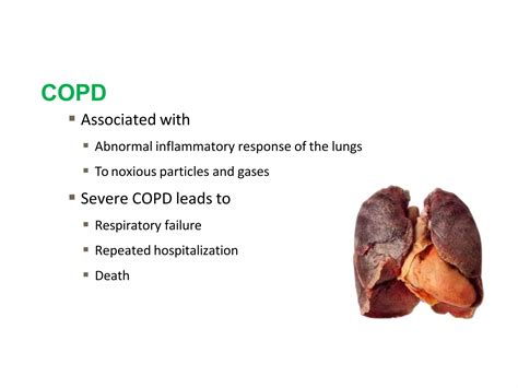 Copd And Smoking Cessation Pptx Smoking Cessation Wellness