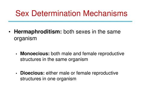 Sex Determination And Sex Linked Characteristics Ppt Download