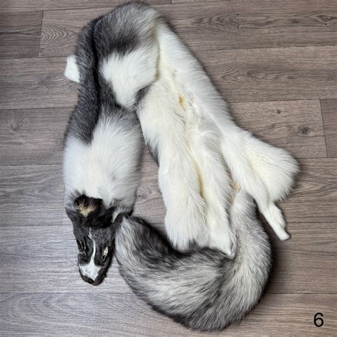 Marble Frost Fox Pelt 6 Extremely Large Pelt Orange Lion Creations