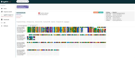 Annotation Has No Basis Issue Eggnogdb Eggnog Mapper GitHub