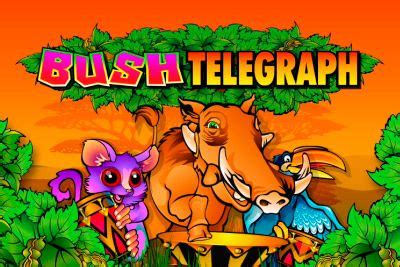 Bush Telegraph - free game ᐈ RTP, strategy and bonuses