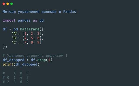 Методы управления данными в Pandas Drop Astype и переименование