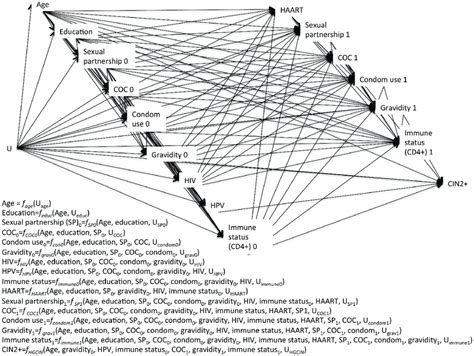 Full Causal Model In Directed Acyclic Graph And Structural Causal Model