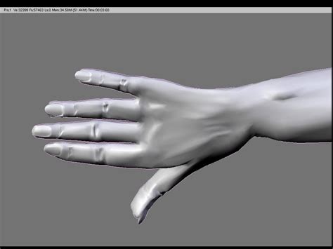 Not So Slim Cute Young Lady Nudity Skin Texturing Started Works In Progress Blender Artists