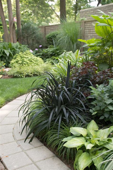 19 Stunning Black Mondo Grass Landscaping Ideas