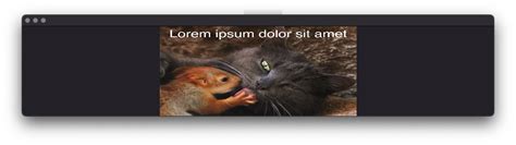 Swift How Can You Turn A Macos Swiftui View Into An Image Stack