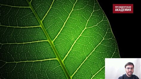 М2 112 Практическое занятие Анализ данных на Python и базы данных Sql Youtube