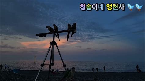 바다에서 바라보는 보름달 🌕 토끼야 어디갔니🐰🐰 Youtube