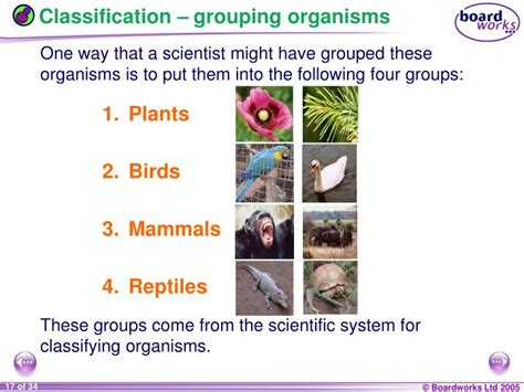 ppt ks3 biology powerpoint presentation id 1426040