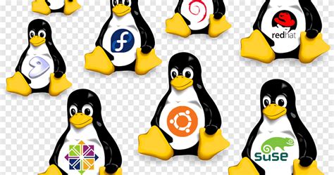 Linux Distribution Operating Systems Open Source Software Computer Software Linux Vertebrate