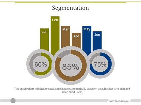 Segmentation Ppt Powerpoint Presentation Portfolio Format